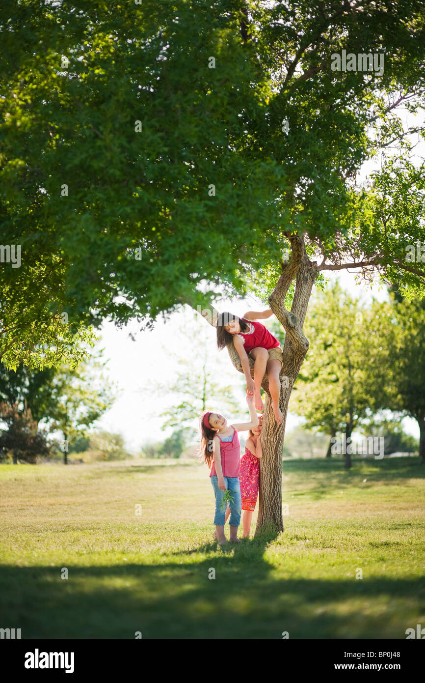 Group People Sitting Under Tree Stock Photos & Group People Sitting ...