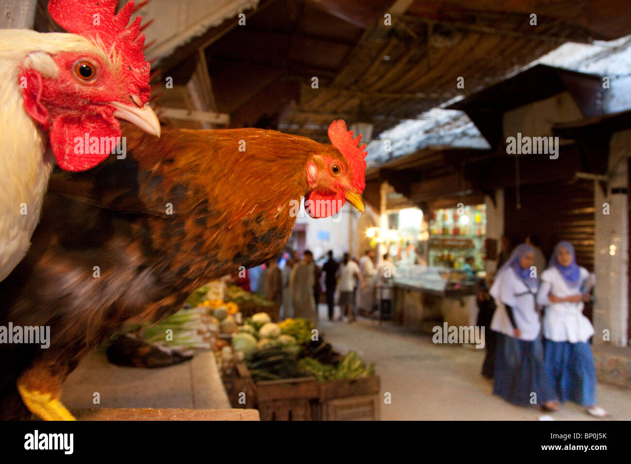 Street life on Talaa Kbira in the old medina of Fes, Morocco Stock ...
