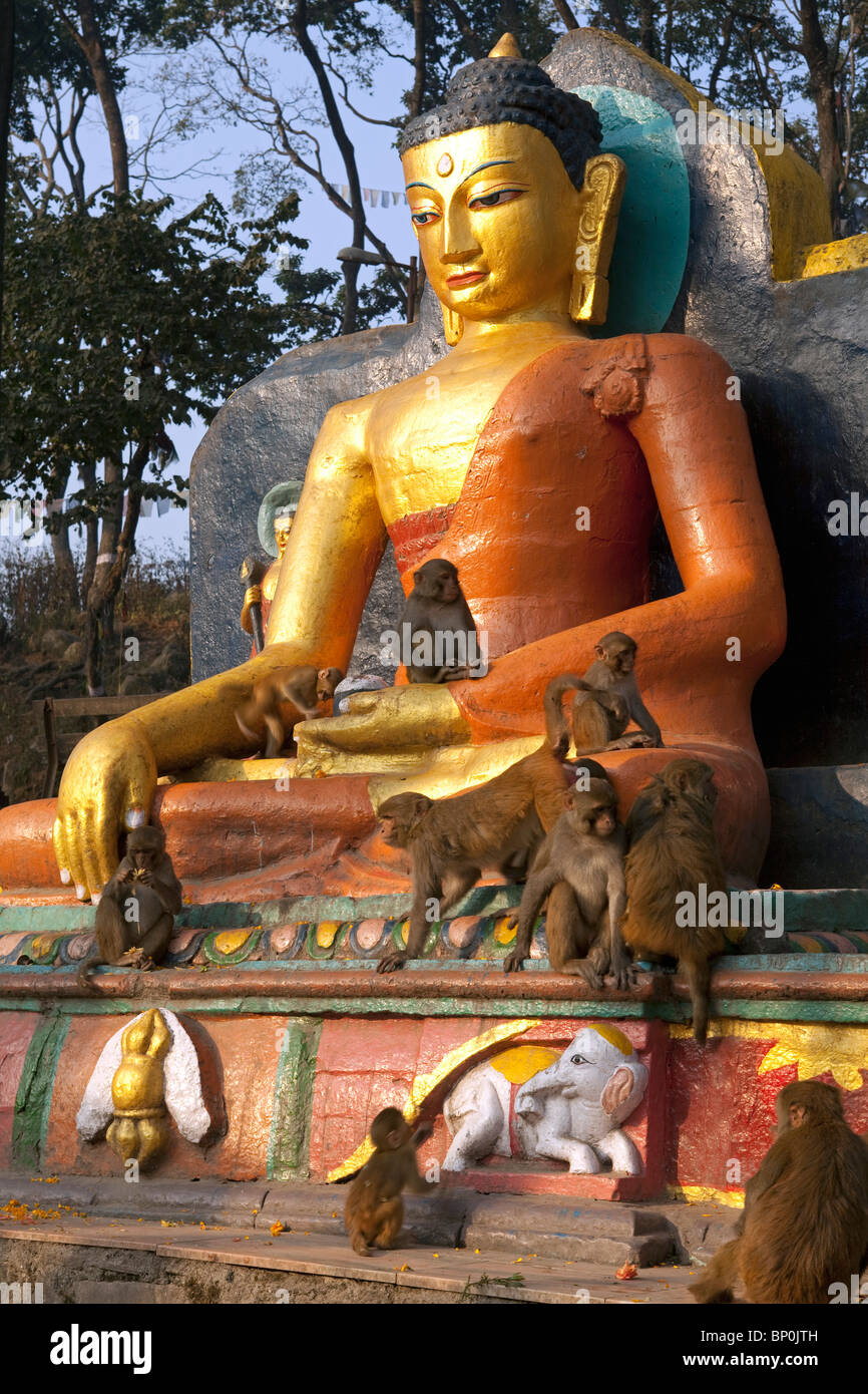 Nepal, Kathmandu, Swayambunath Temple (Monkey Temple) which sits a on a ...