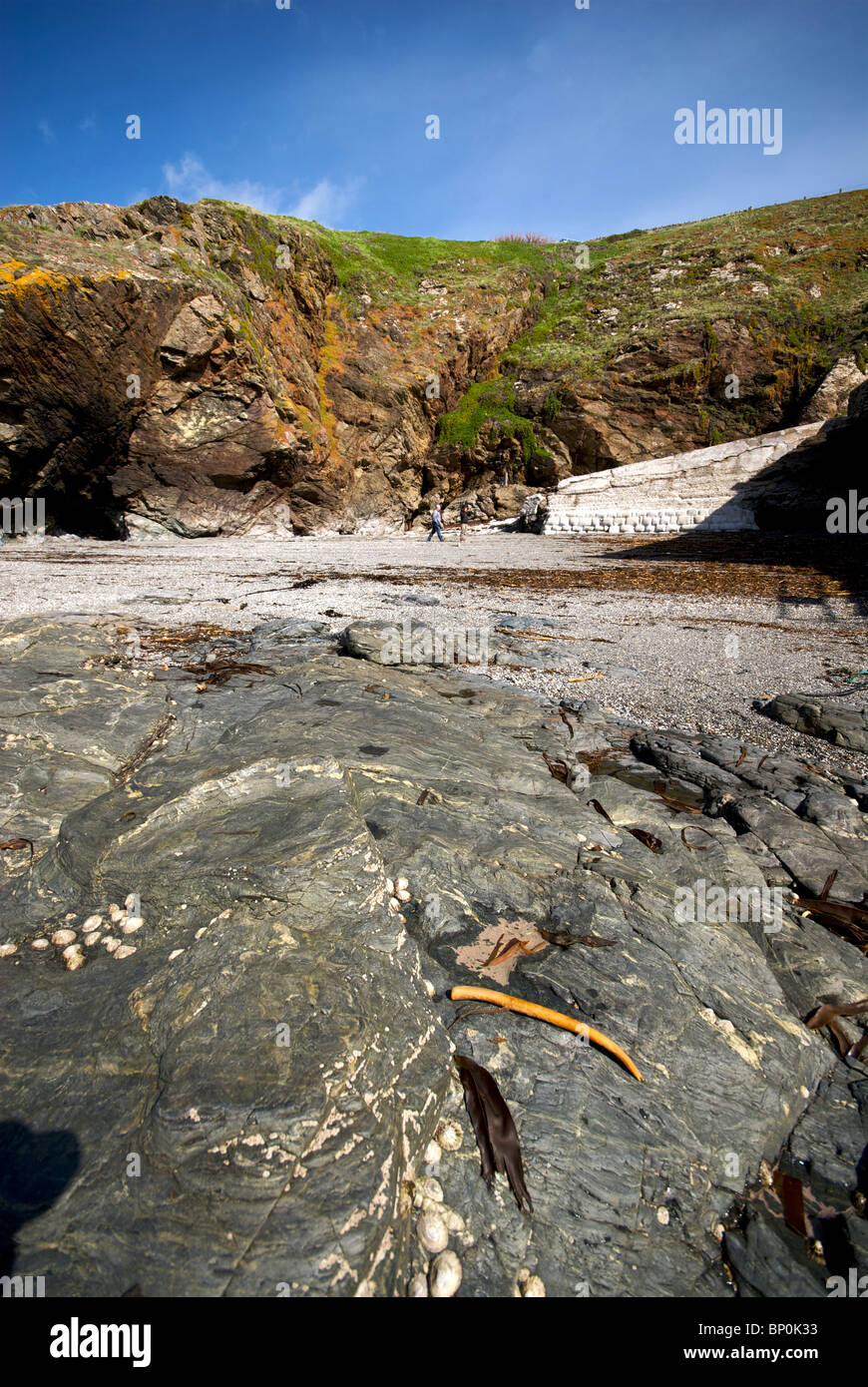 Lizard Point Cornwall UK Beach Stock Photo - Alamy