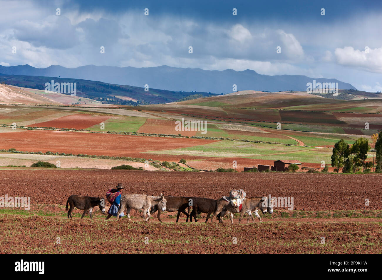 Peru, Fertile high-altitude farming country near Maras Stock Photo - Alamy