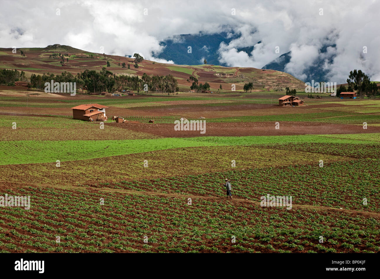 Land for growing crops High Resolution Stock Photography and Images - Alamy