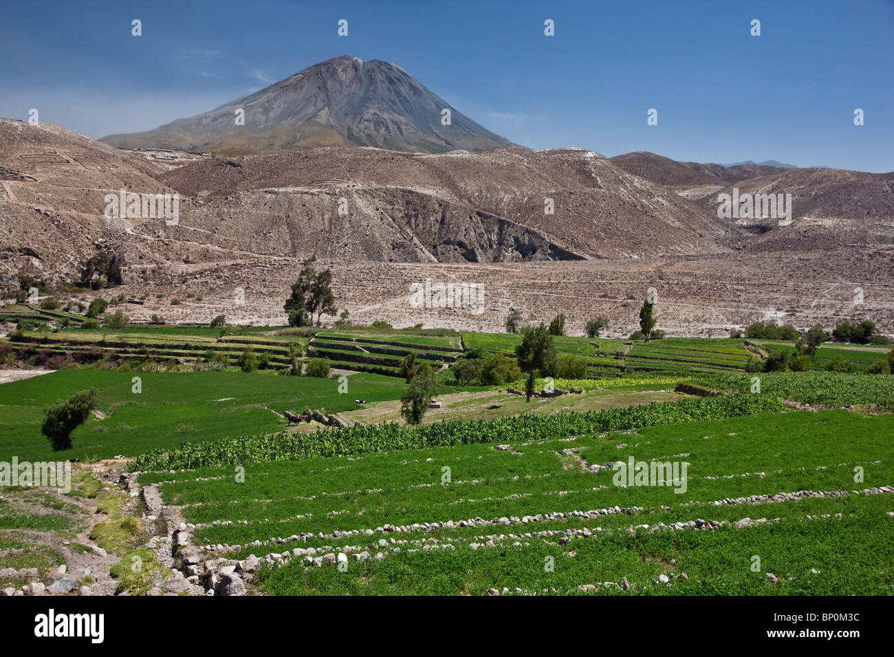 Peru, Crops growing on pre-Inca terracing fed by a network of ...