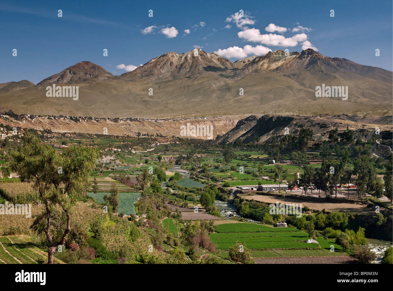 Peru, Crops growing in fertile volcanic soil beside the Chili River on ...