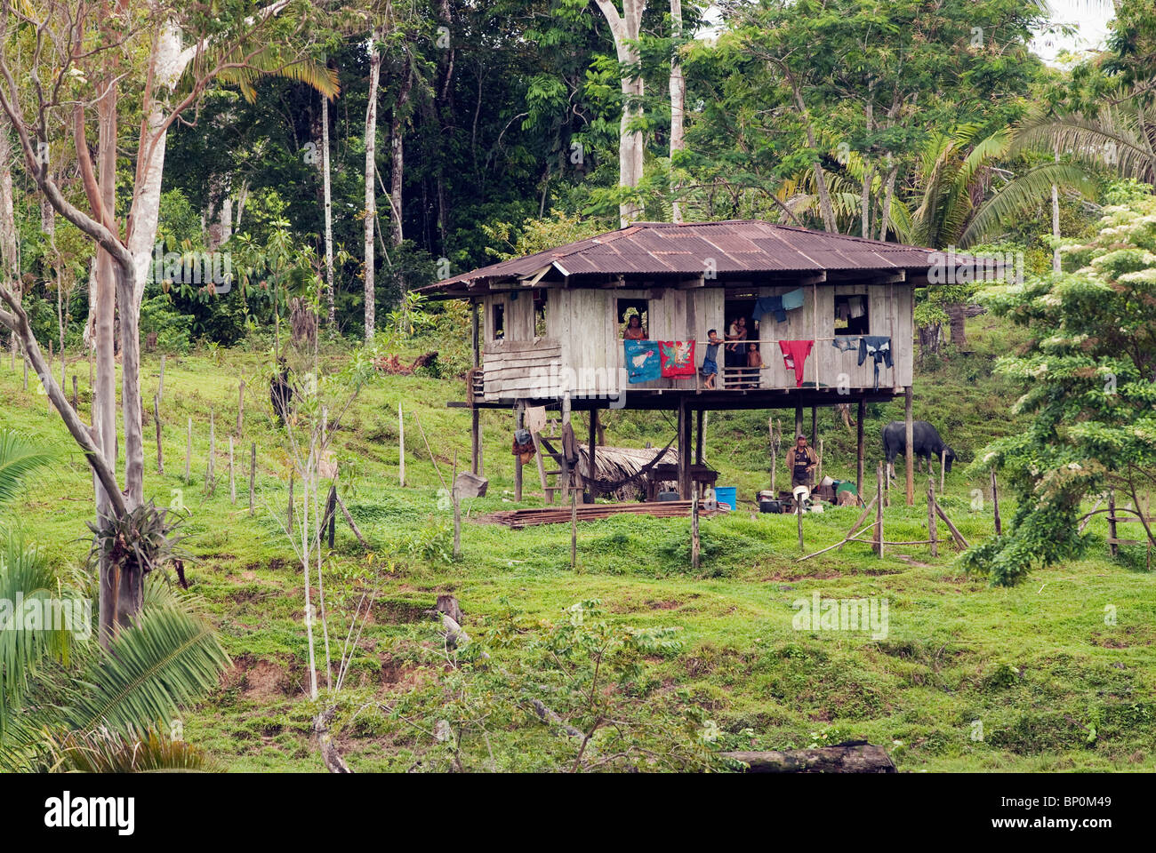 Traditional huts built along the shore of the Amazon River, Peru Stock ...