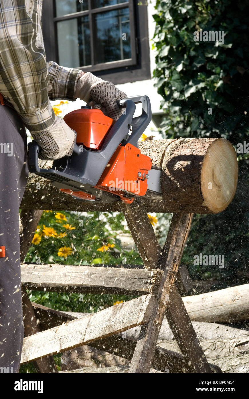 The chainsaw cutting the log of wood Stock Photo - Alamy