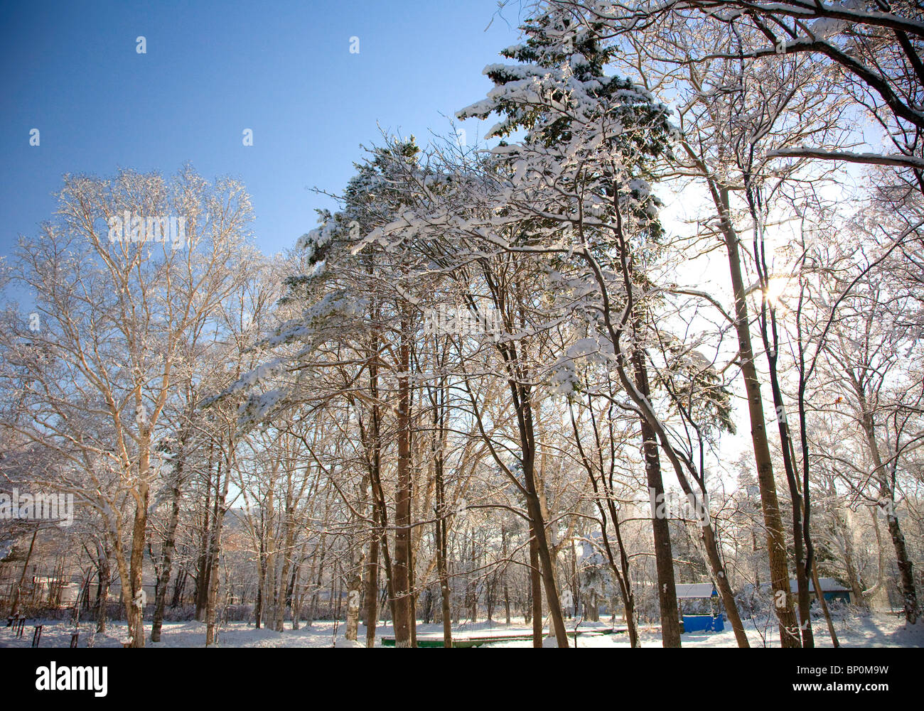 Yuzhno sakhalinsk far east hi-res stock photography and images - Alamy