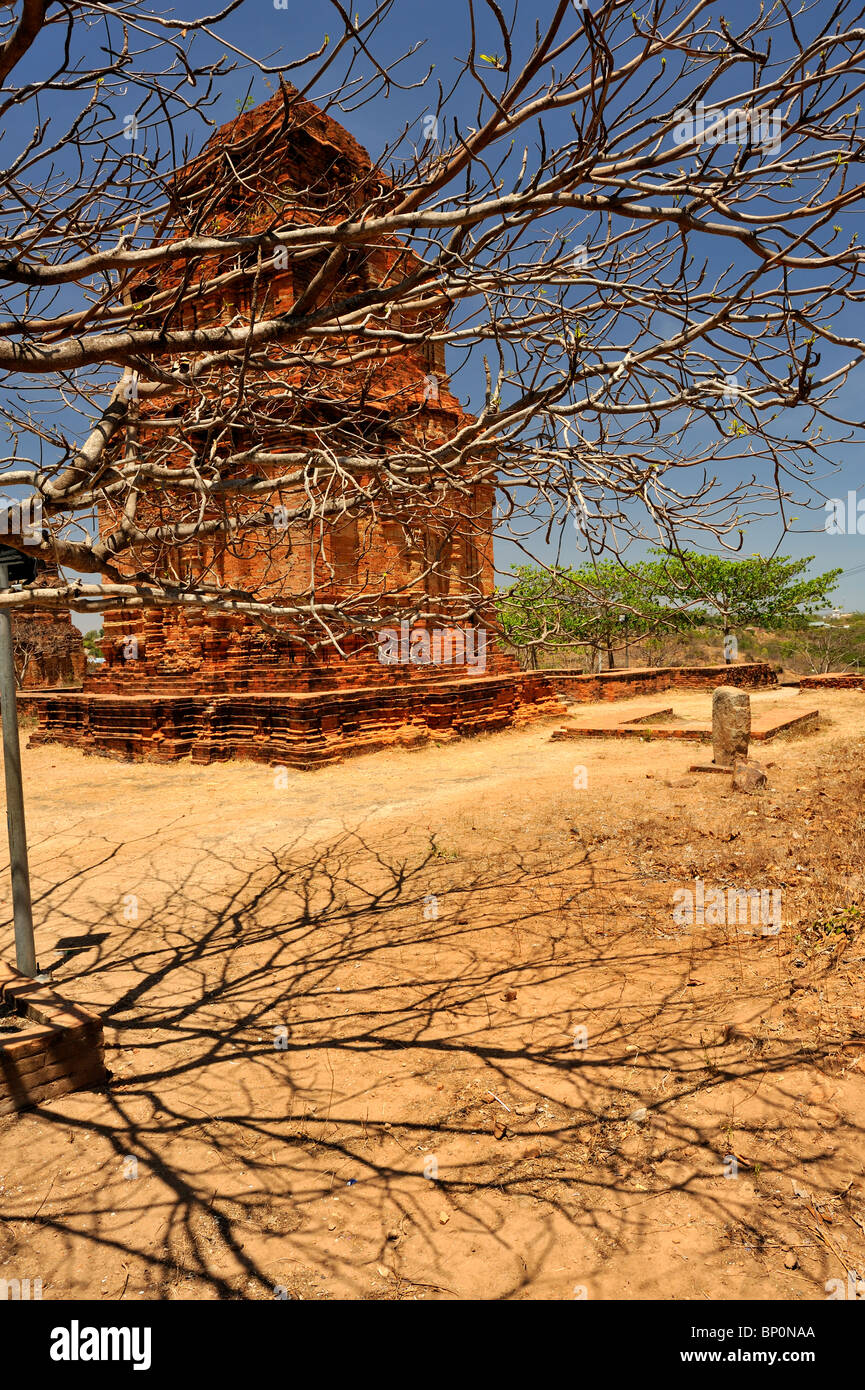 Thap poshanu cham of tower hi-res stock photography and images - Alamy