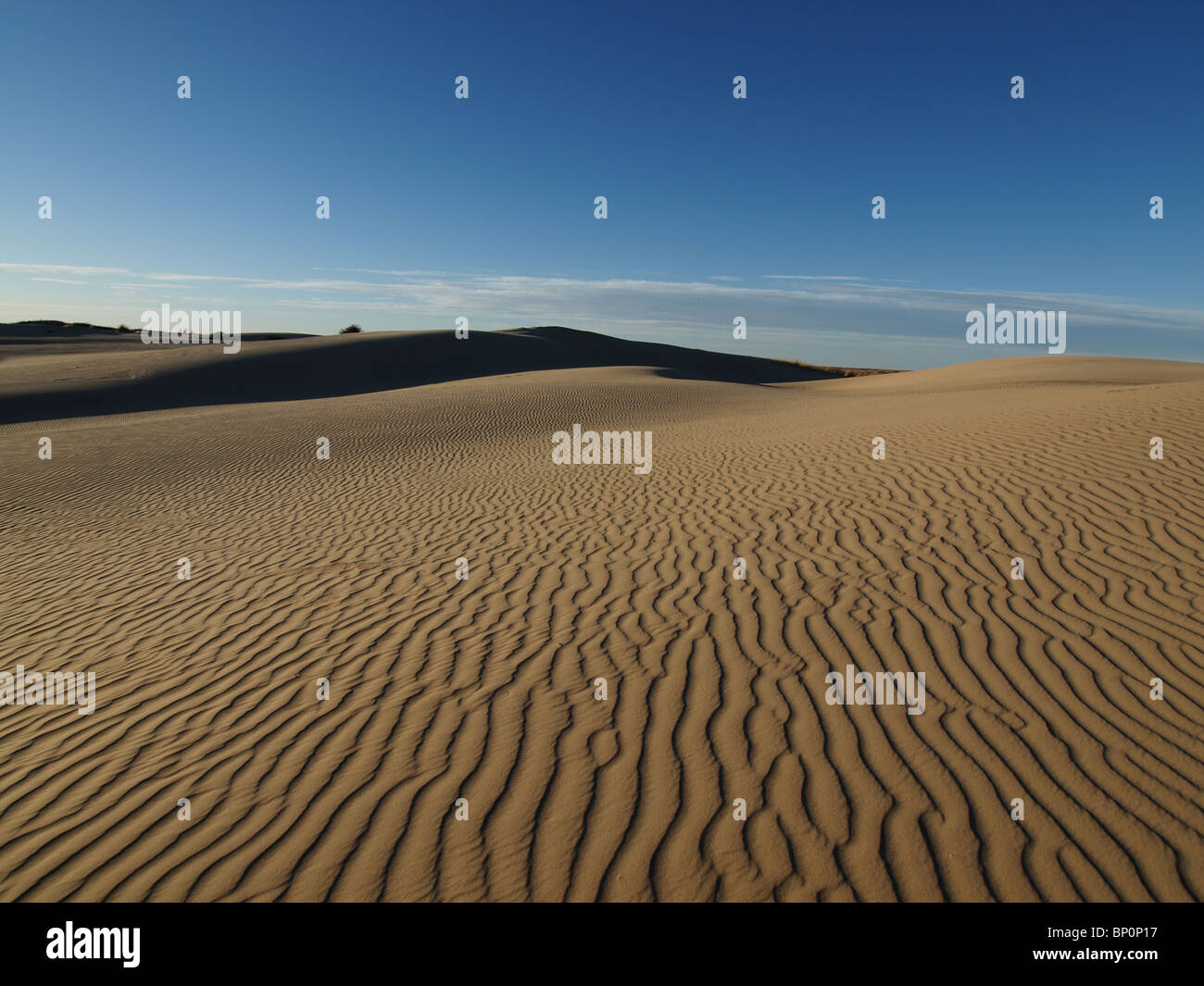 Sand dune patterns at Dumont Dunes in California's Mojave Desert Stock ...