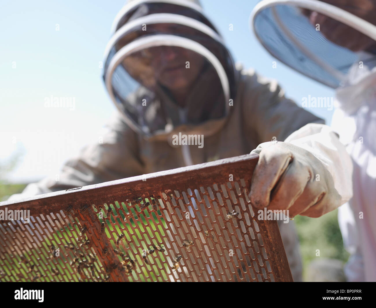 Horizontal mesh hi-res stock photography and images - Alamy