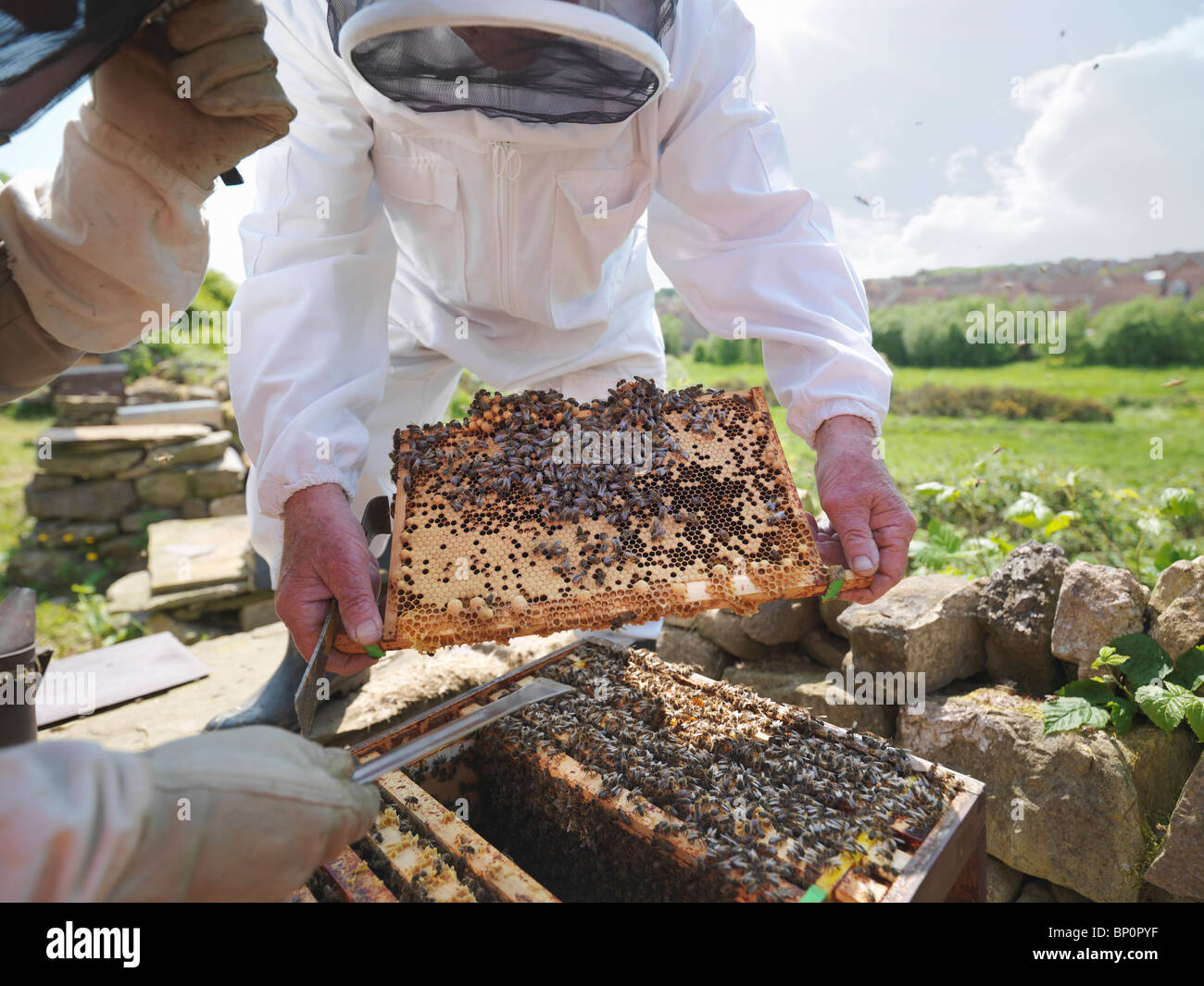 Inspect to hi-res stock photography and images - Alamy