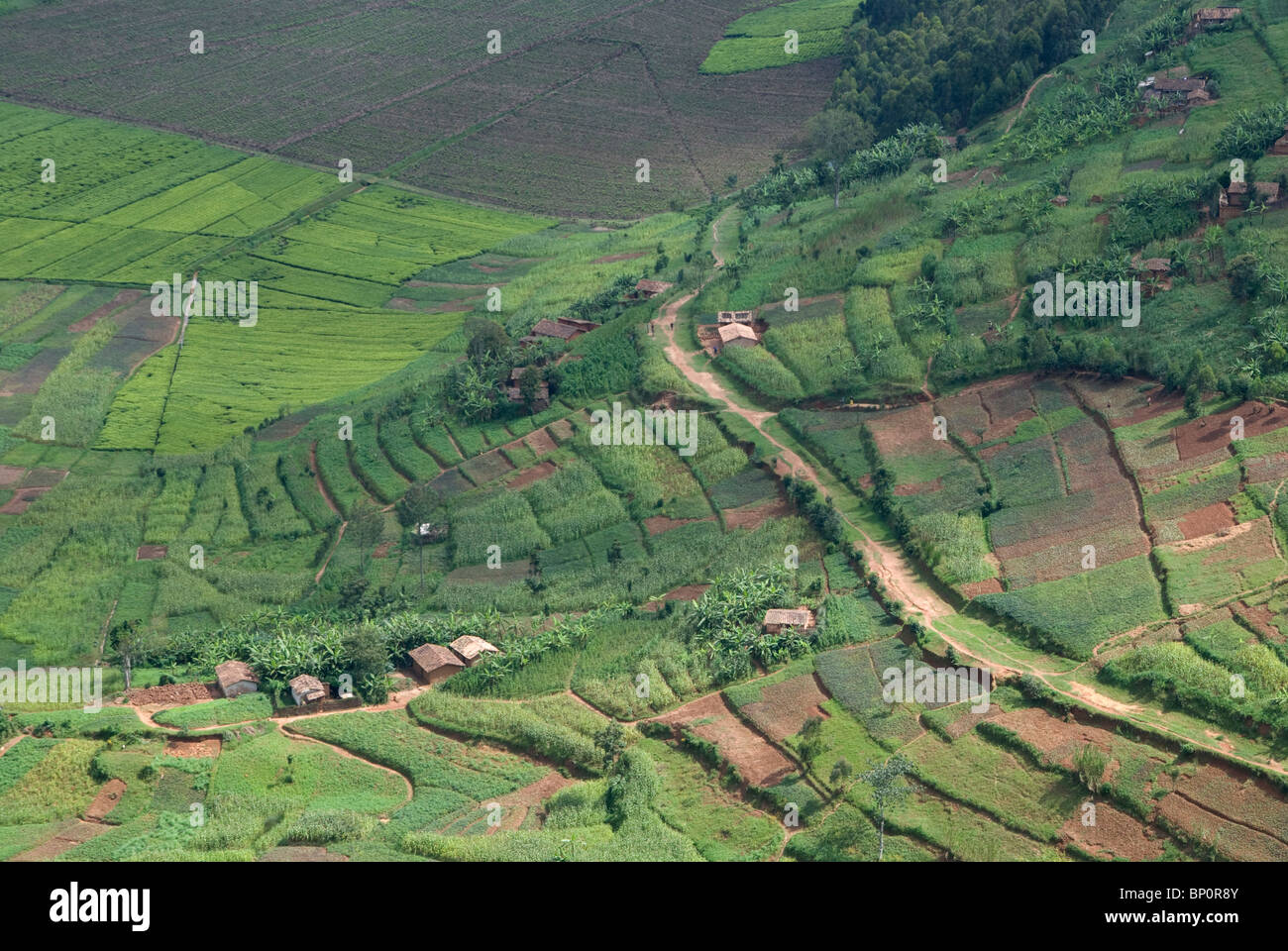 Rwanda, terraced fields Stock Photo - Alamy