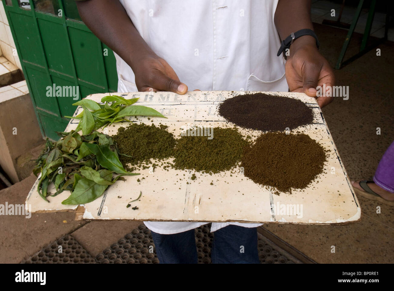 Rwanda, tea samples Stock Photo - Alamy