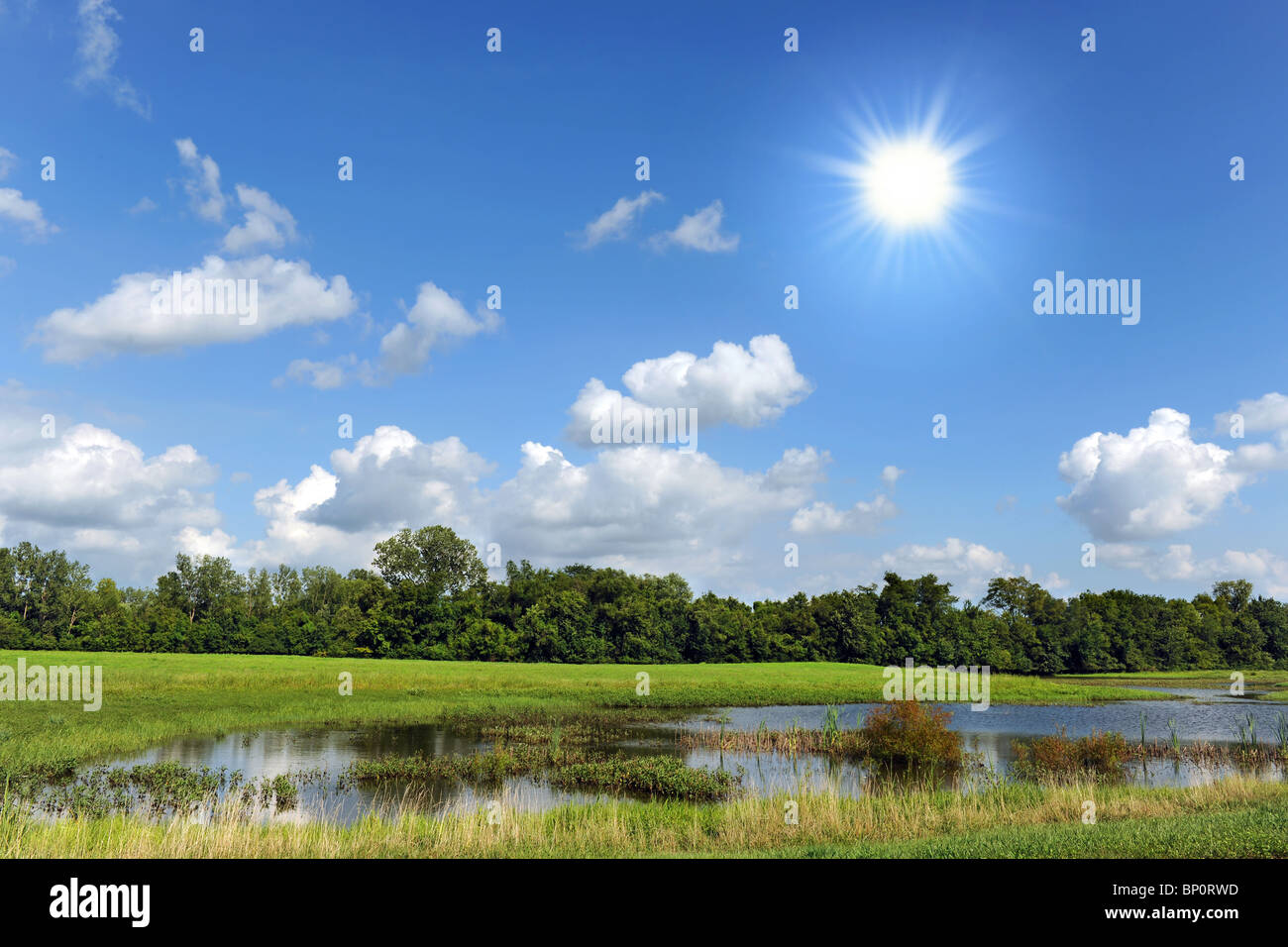 Rural landscape with sun shining bright Stock Photo - Alamy
