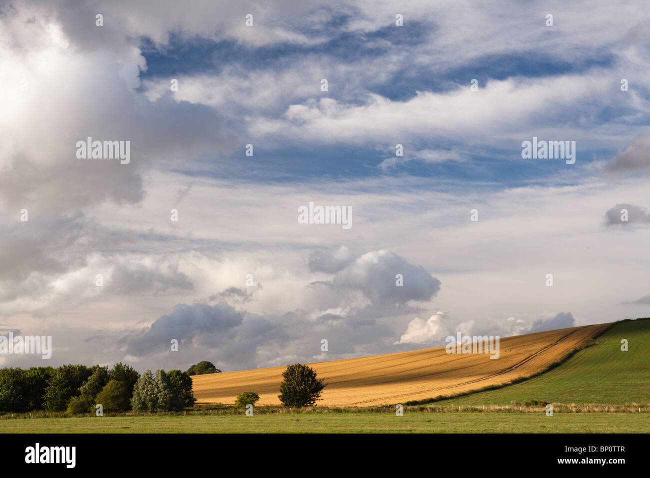 Landscape near Avebury Stock Photo - Alamy