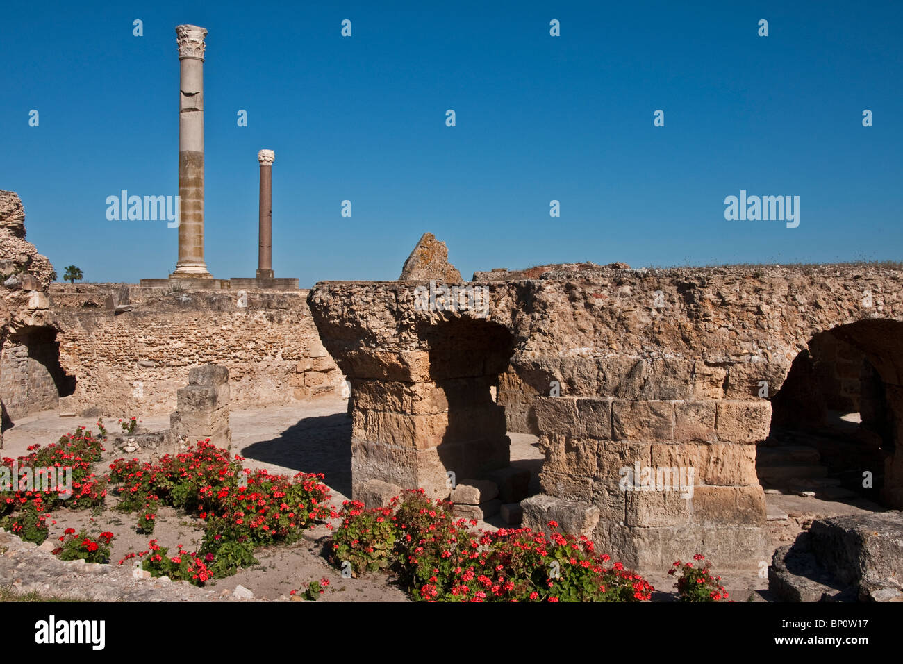 Carthage hi-res stock photography and images - Alamy