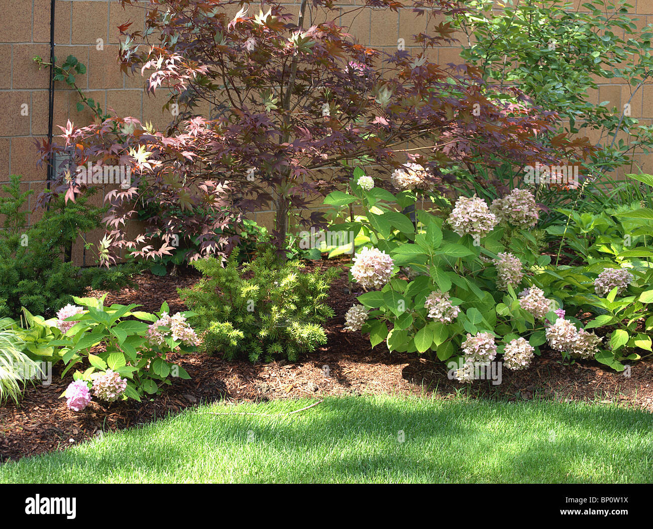 building-landscaping-and-lawn-stock-photo-alamy