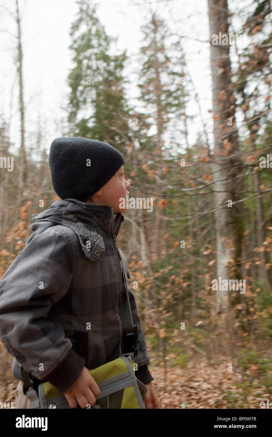 Boy looking for something in a forest Stock Photo - Alamy