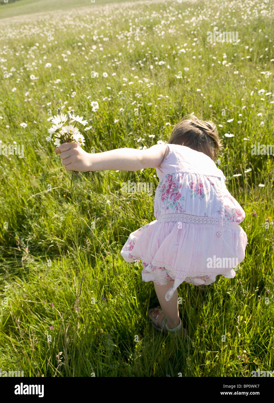 Girl picks wild flowers in meadow Stock Photo - Alamy
