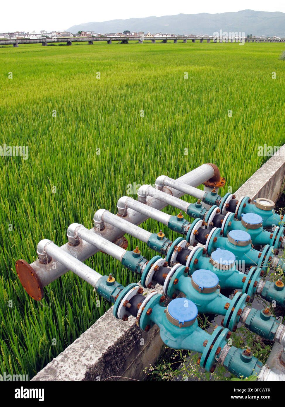 China, Yunnan province, Dali, rice field Stock Photo - Alamy