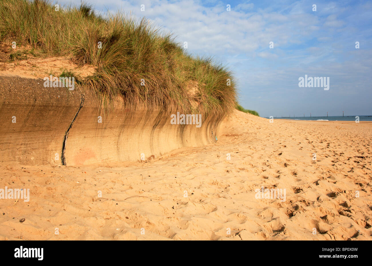 Sea wall protecting sand dunes from coastal erosion at Waxham, Norfolk ...