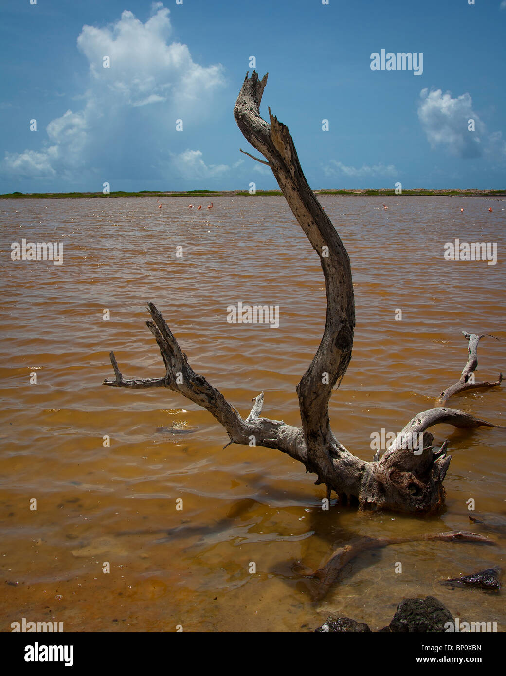 Deserted vertical hi-res stock photography and images - Alamy