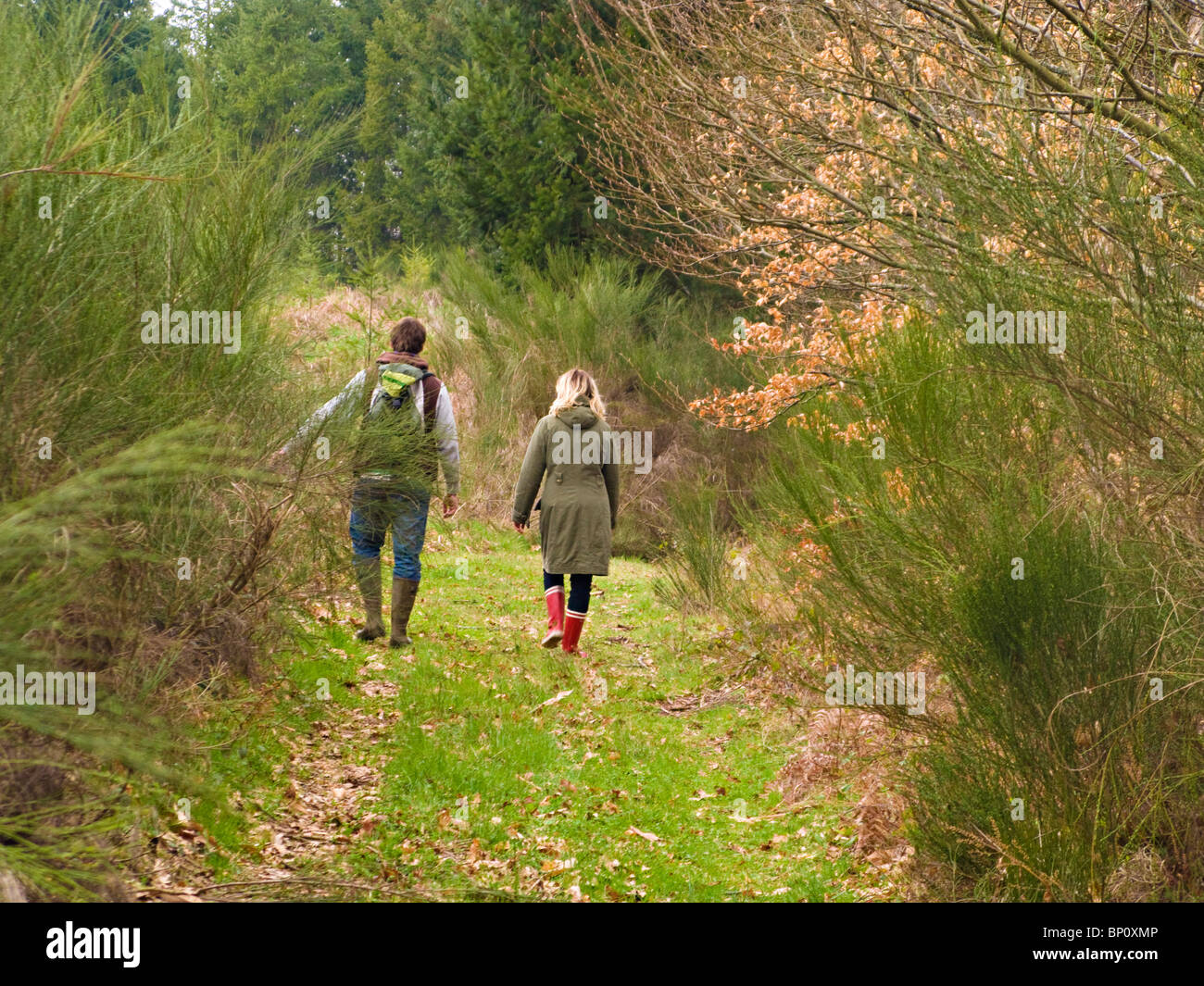 Walk in the countryside rear view hi-res stock photography and images ...