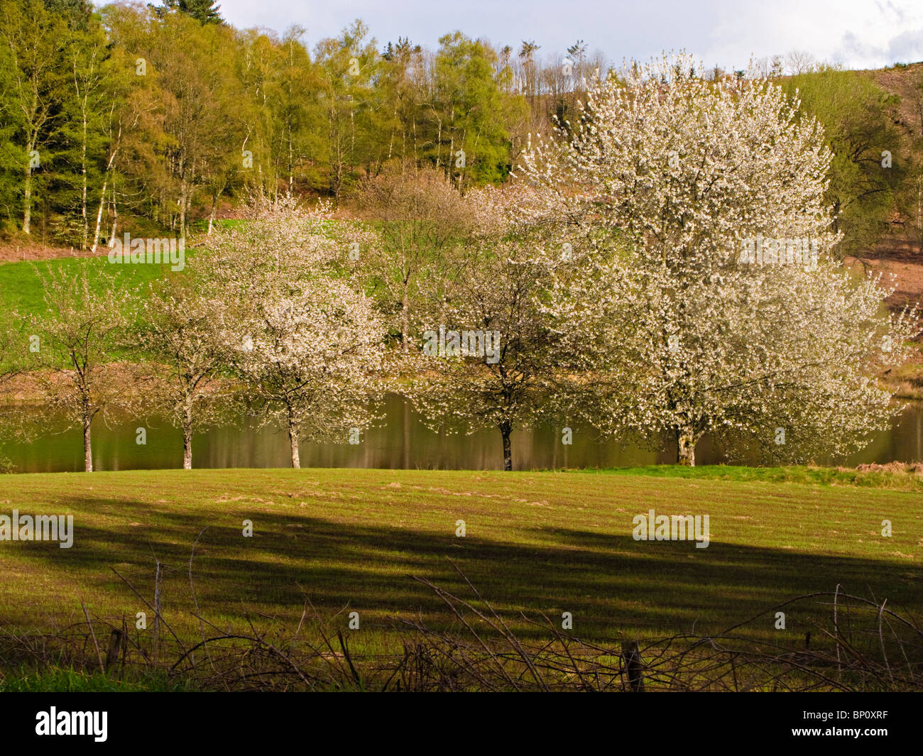 Country scenery hi-res stock photography and images - Alamy