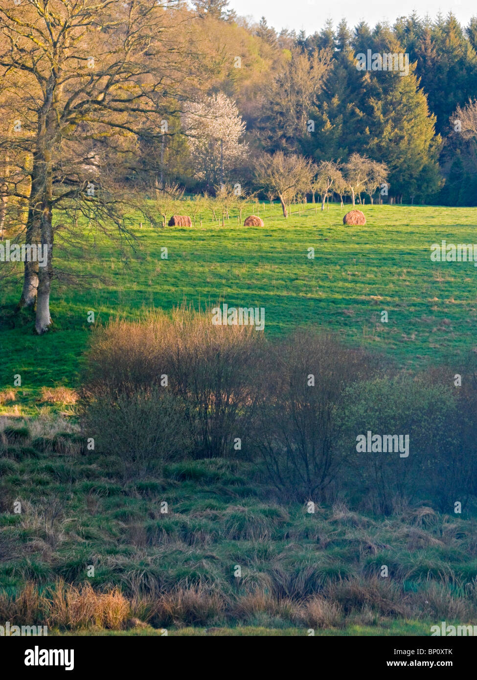 Country scenery hi-res stock photography and images - Alamy
