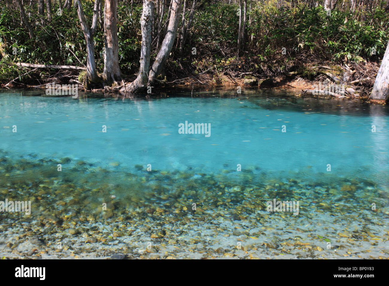 Azure colored river in Matsumoto, Japan Stock Photo - Alamy