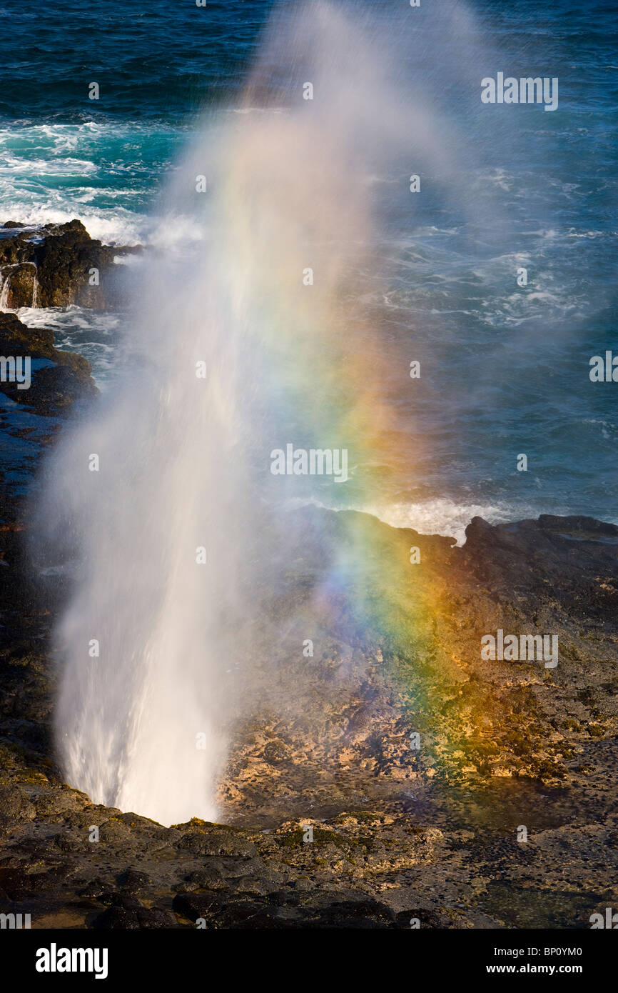Waves crash through an opening under a lava shelf known as the Spouting ...
