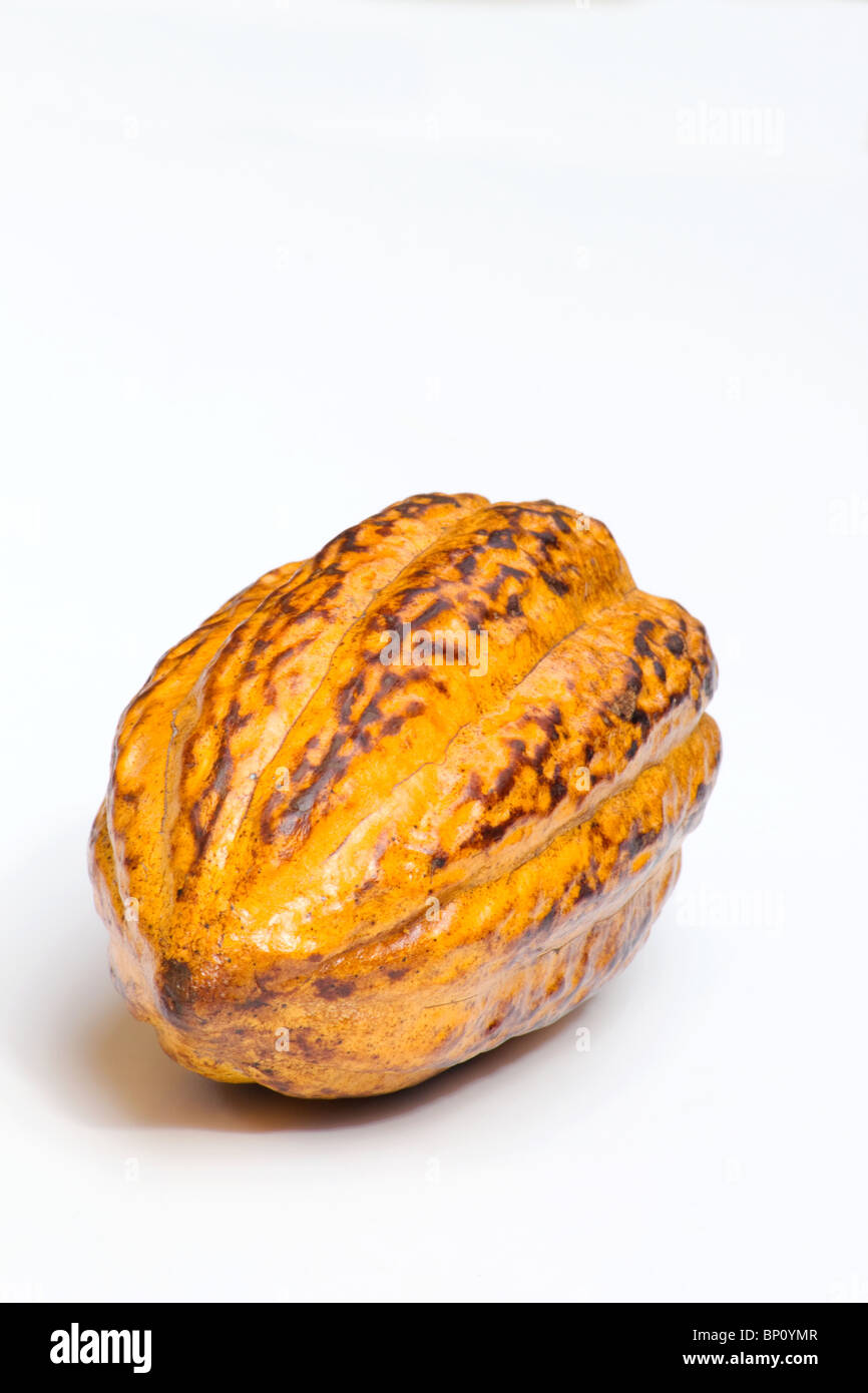 Forest background vertical Cut Out Stock Images & Pictures - Alamy