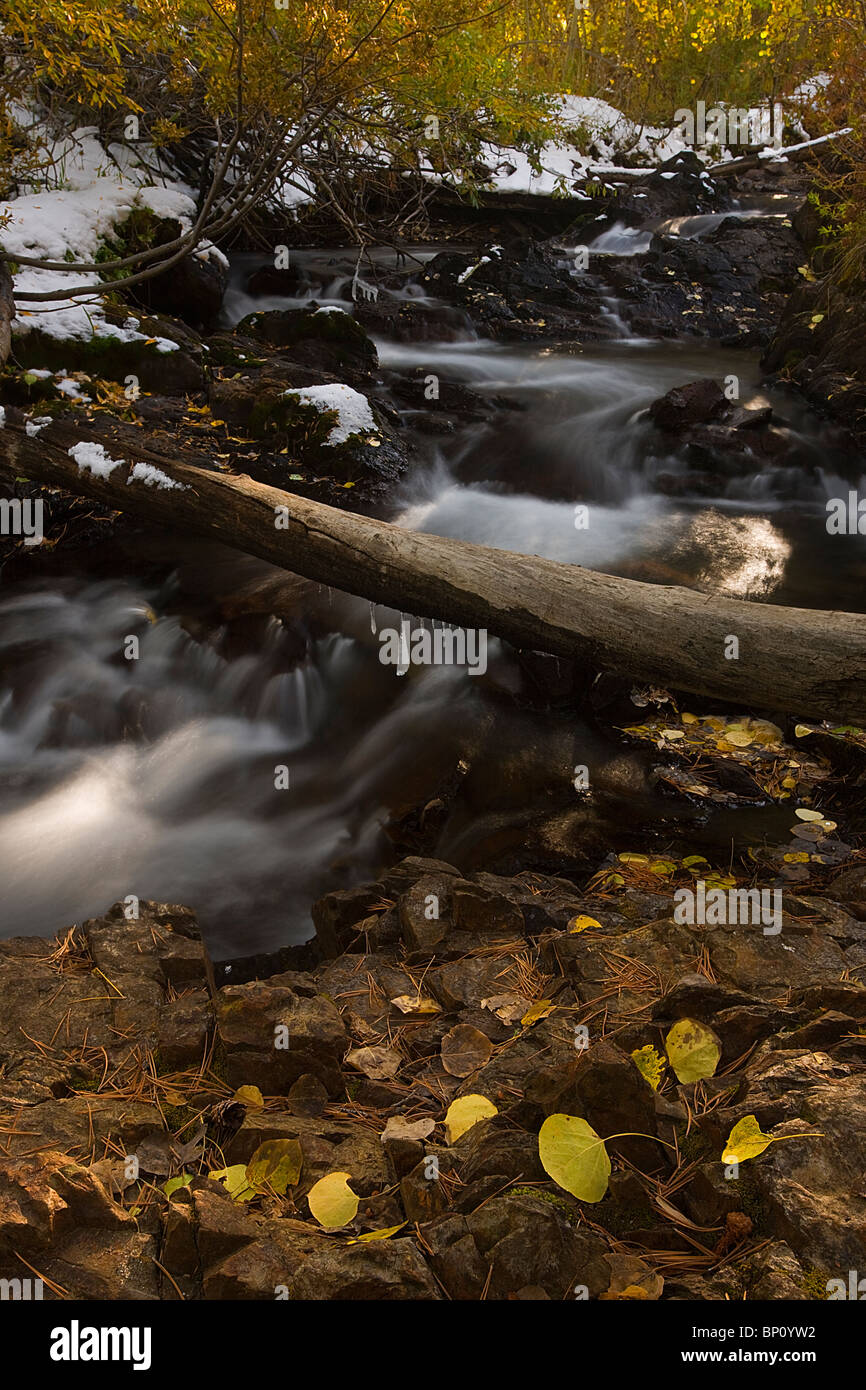 A small meanders through fall foliage and snow-lined banks, eastern ...