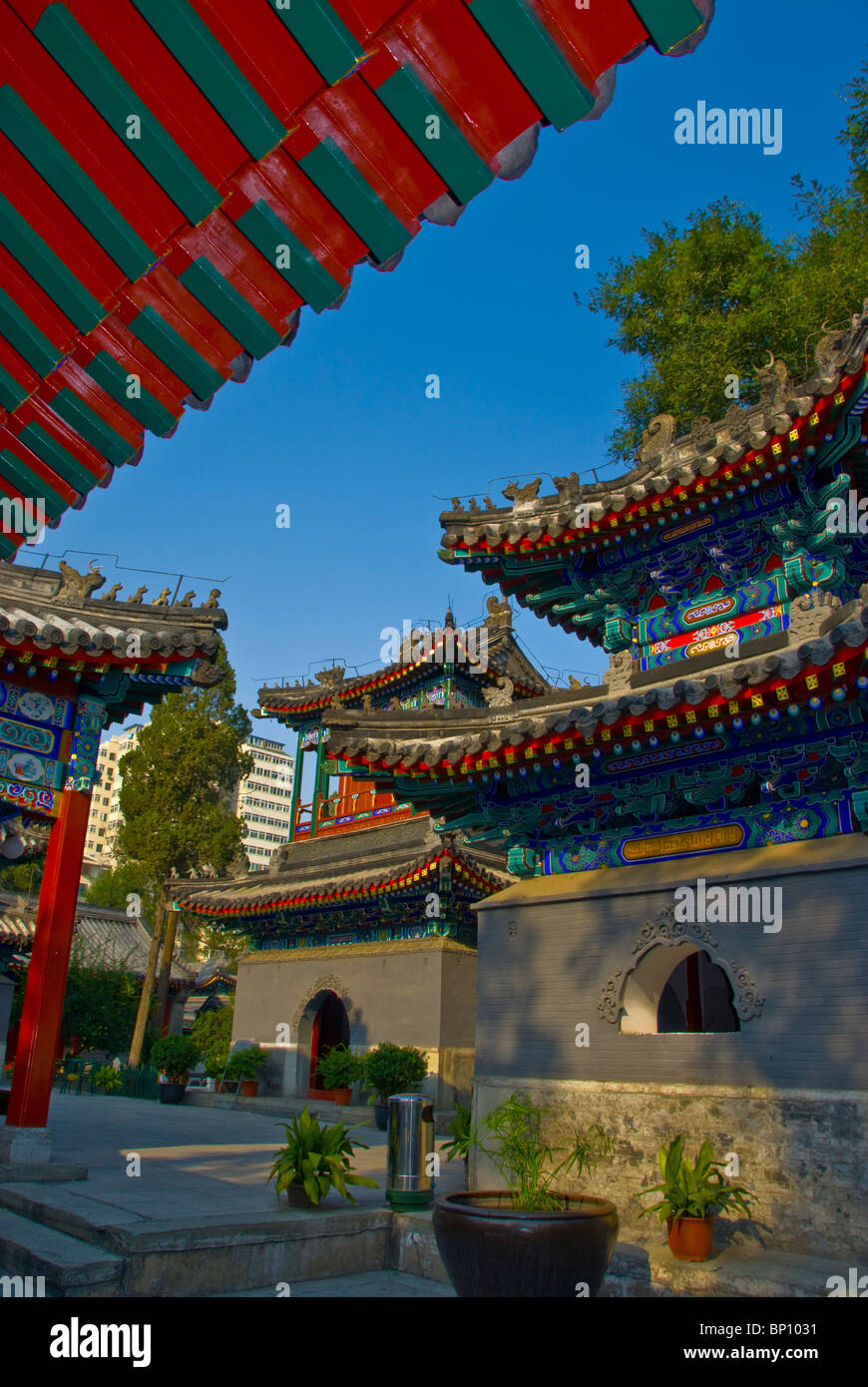 Visiting mosque hi-res stock photography and images - Alamy