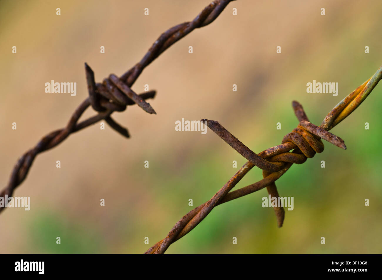 Barricade wire hi-res stock photography and images - Alamy