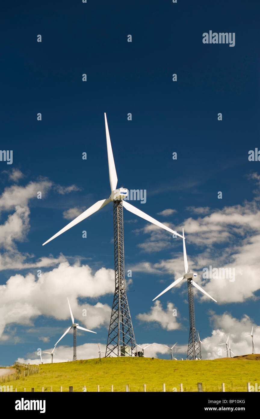 Wind farm new zealand hi-res stock photography and images - Alamy