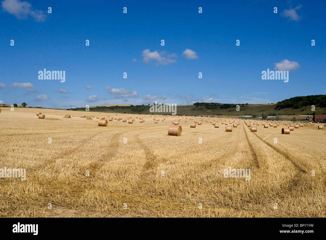 Long furlong sussex hi-res stock photography and images - Alamy