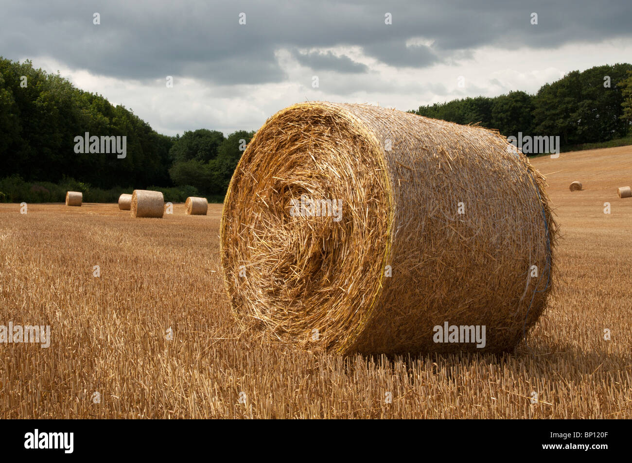 hay bails in field north downs way kent countryside kent england Stock ...