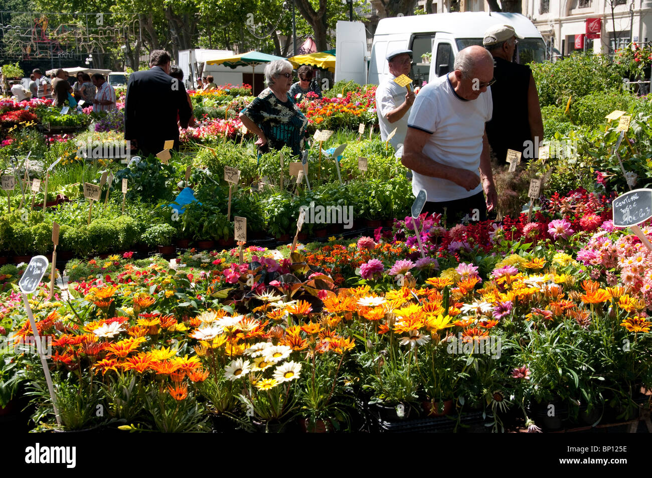 Beziers Flower Market, Allee Paul Riquet, Languedoc, France Stock Photo ...