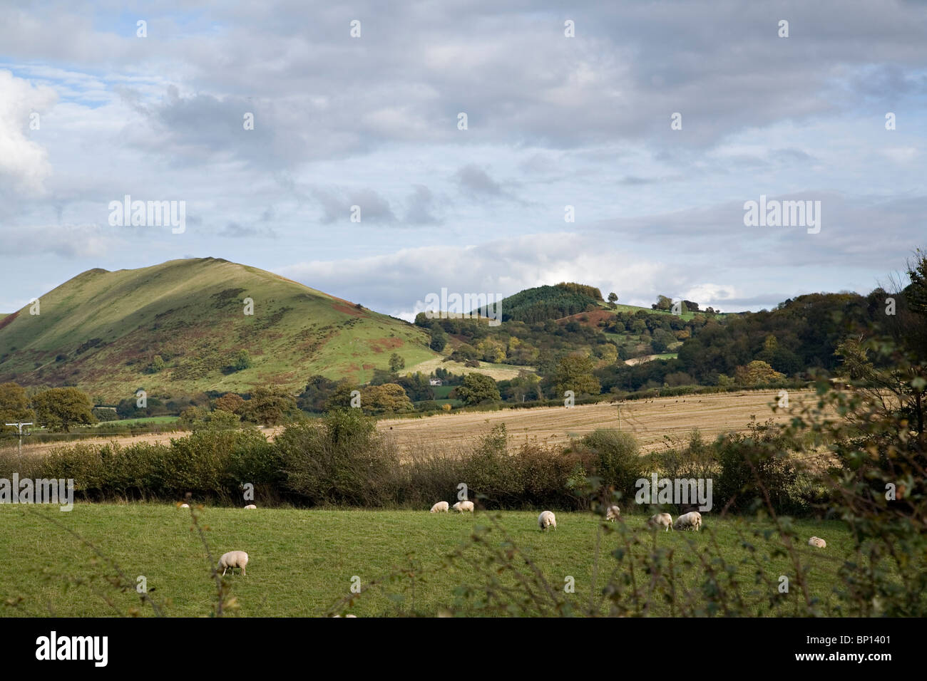 Wenlock Edge, Shropshire Stock Photo - Alamy