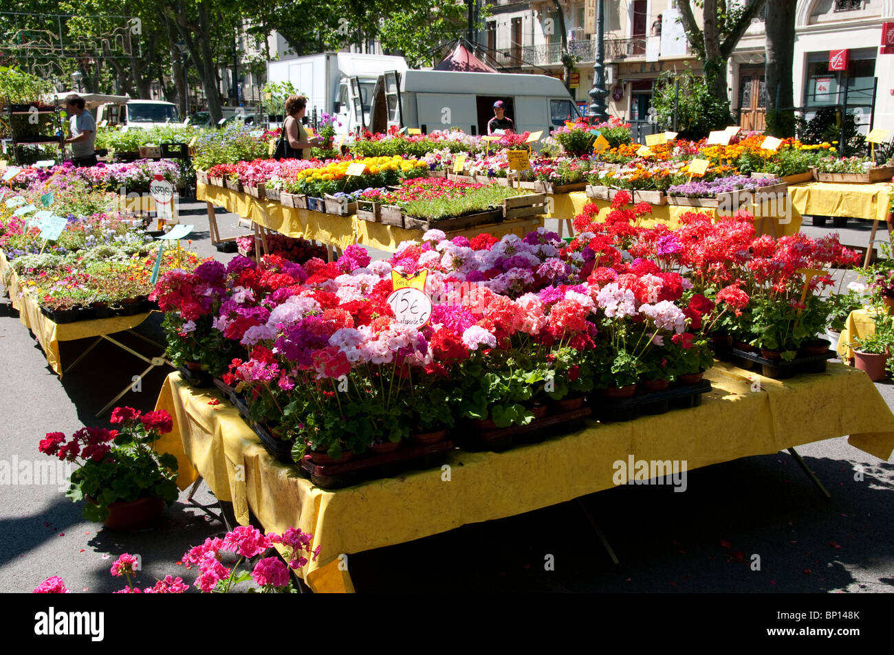 Beziers Flower Market, Allee Paul Riquet, Languedoc, France Stock Photo ...