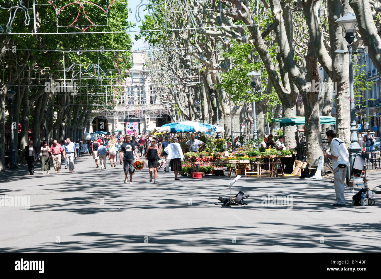 Riquet hi-res stock photography and images - Alamy