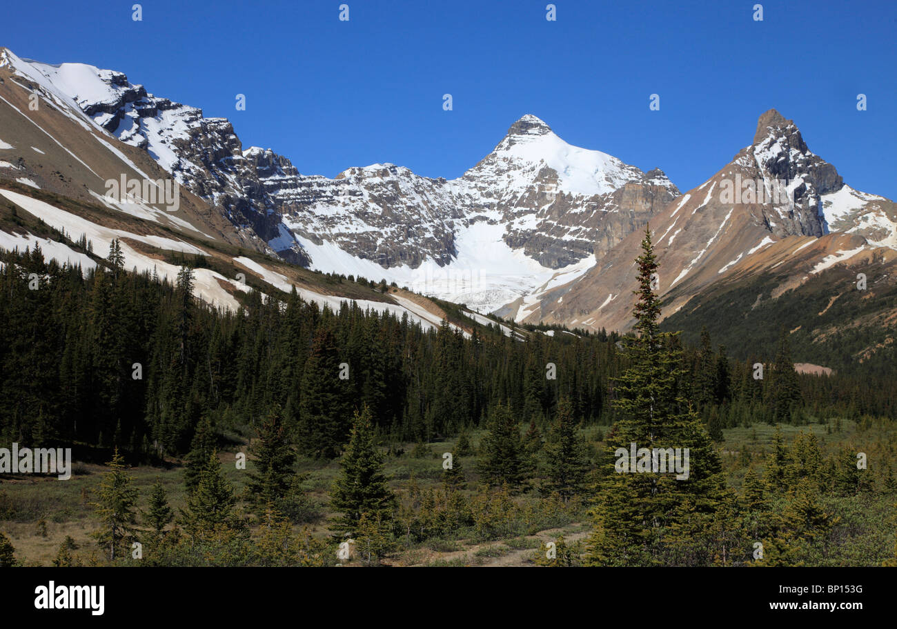 Sunwapta pass hi-res stock photography and images - Alamy