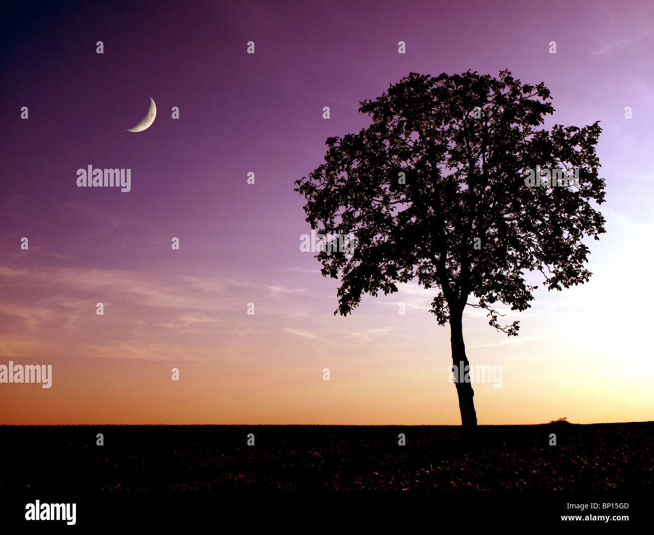 Moon hi-res stock photography and images - Alamy