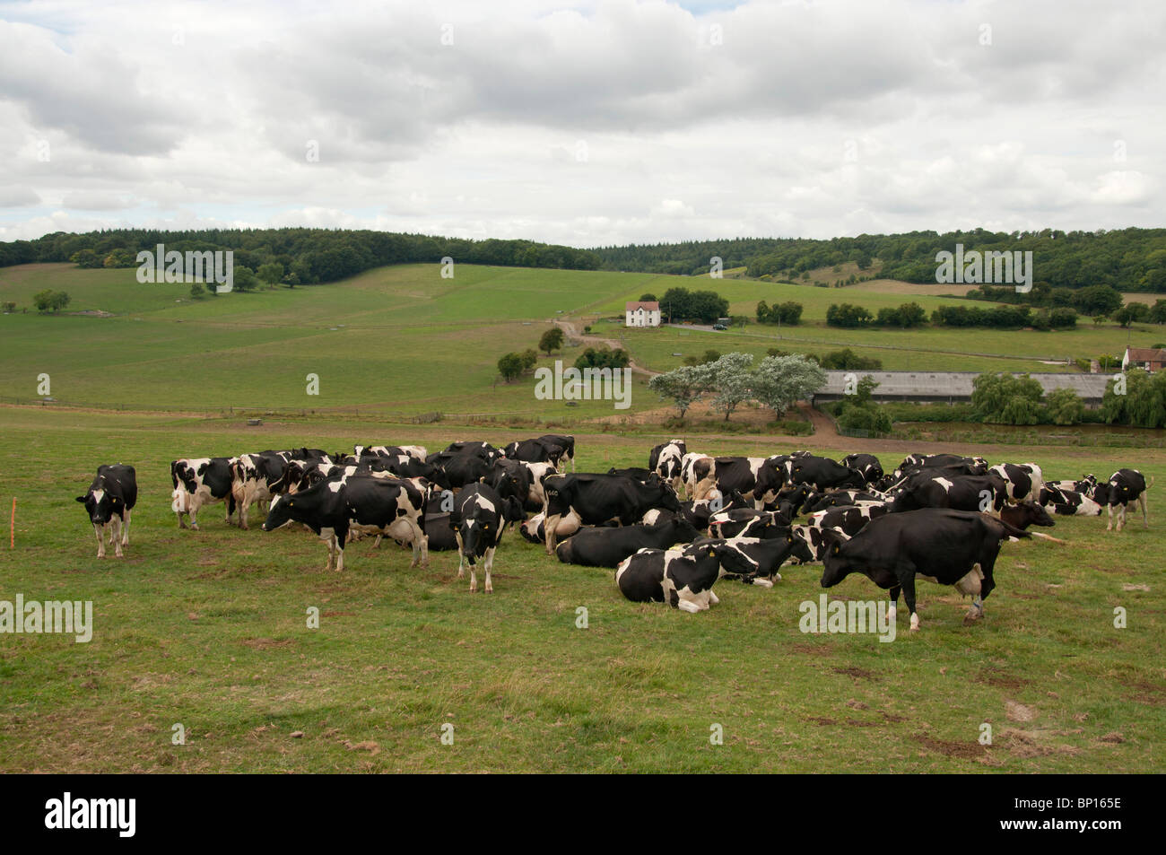 valley north downs way elham valley kent england UK Stock Photo - Alamy