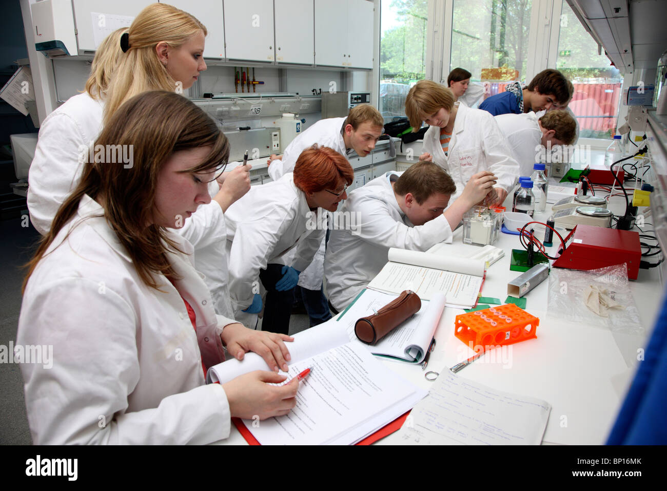 Medical biotechnology studies, basic lab course, students in a ...