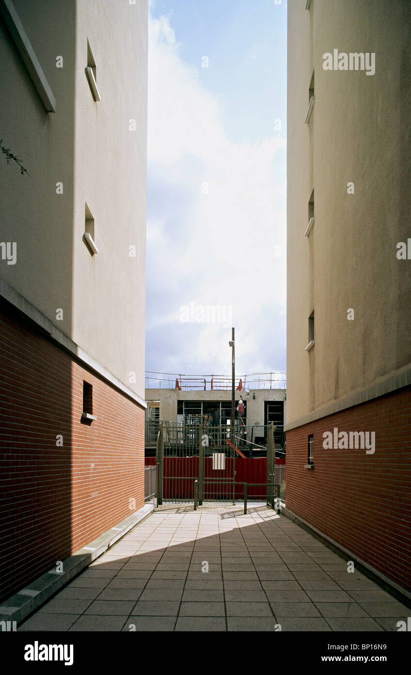 France, Paris region, Villejuif, building site of LCL bank headquarters ...