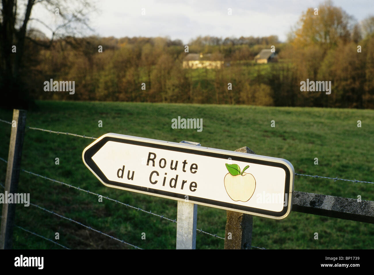France, Normandy, Calvados, cider route Stock Photo - Alamy