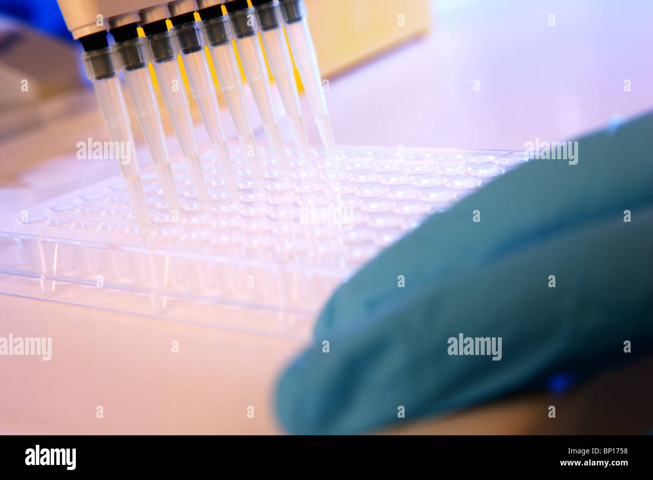 Biotechnology laboratory. Laboratory assistants working in a chemical ...