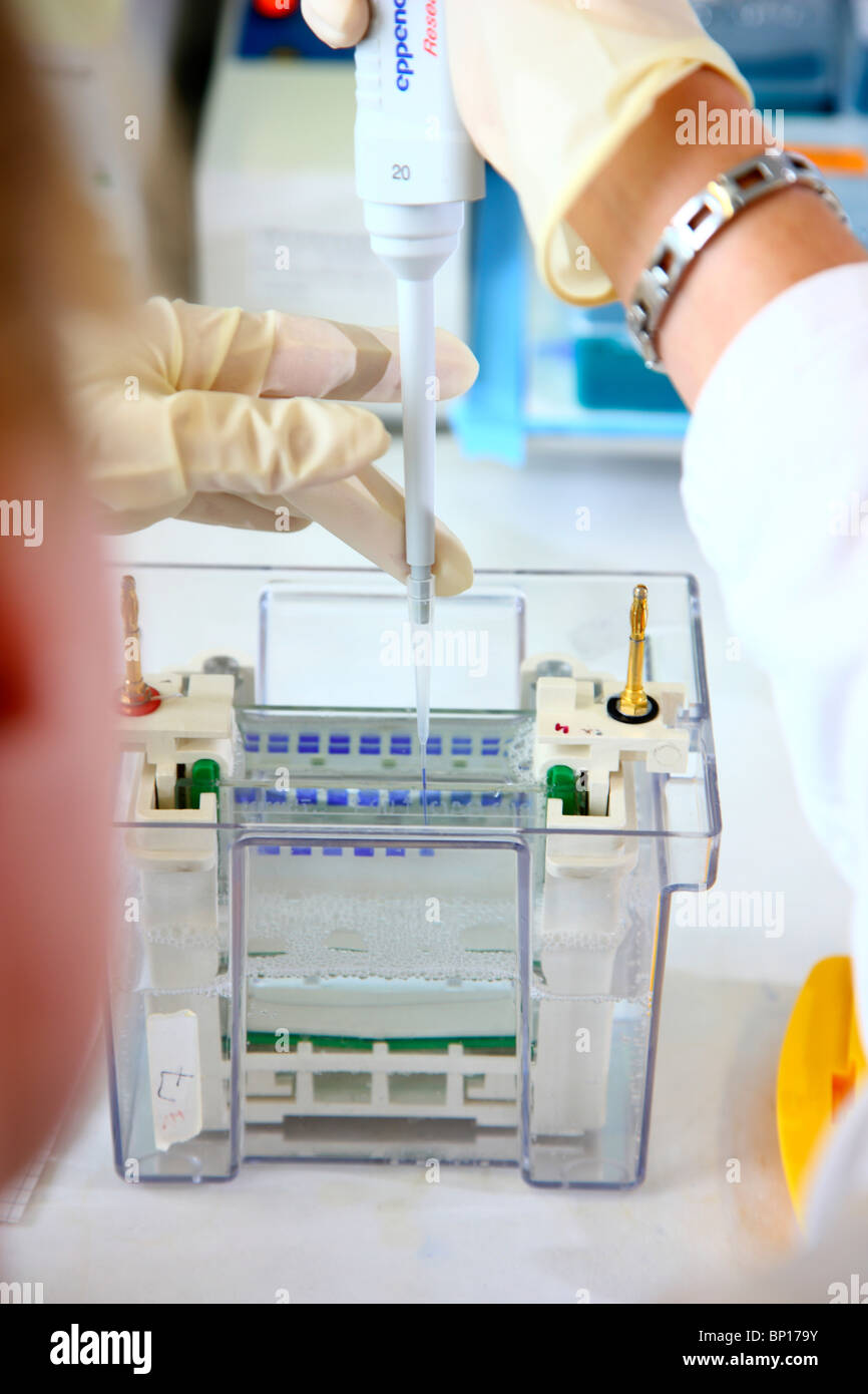 Biotechnology laboratory, chemicals and test tubes for DNA analyzing ...